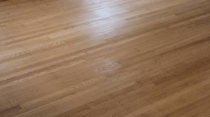 Gloss vs Semi-Gloss vs Satin: Understanding Sheen levels 2026