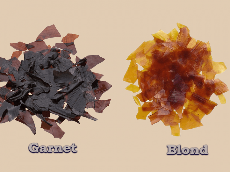 Can you stain over shellac - wood sealing basics 2026