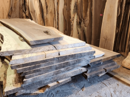 Maple vs Walnut 2023