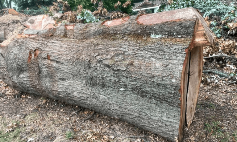 ImproveWood - Finishes, Woodcarving And Woodworking