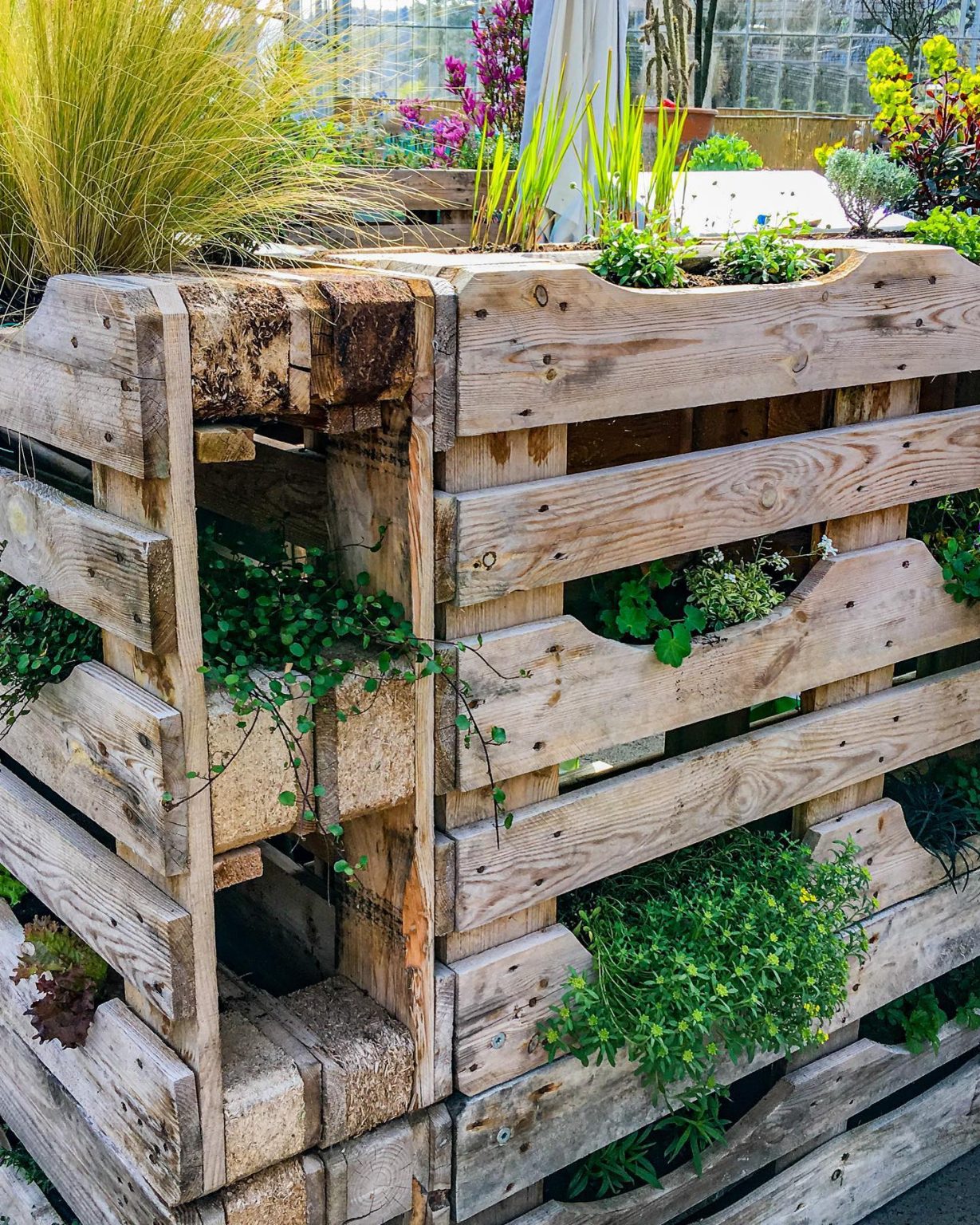 Handyman's Guide to Repurposed Pallet Garden Projects 2025