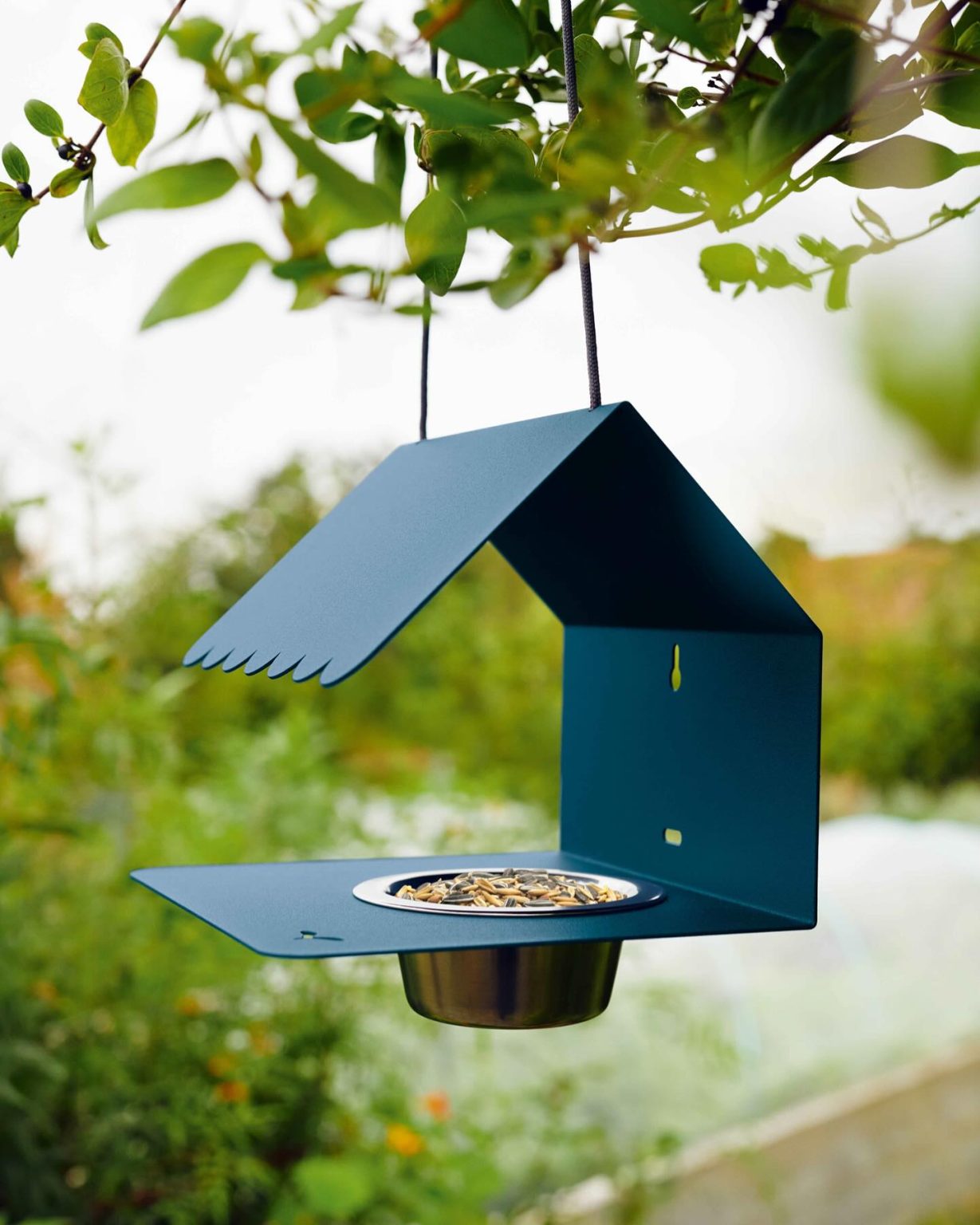 50 Bird Feeder Ideas You Can DIY: Feed the Birds, Fuel Your Creativity 2025