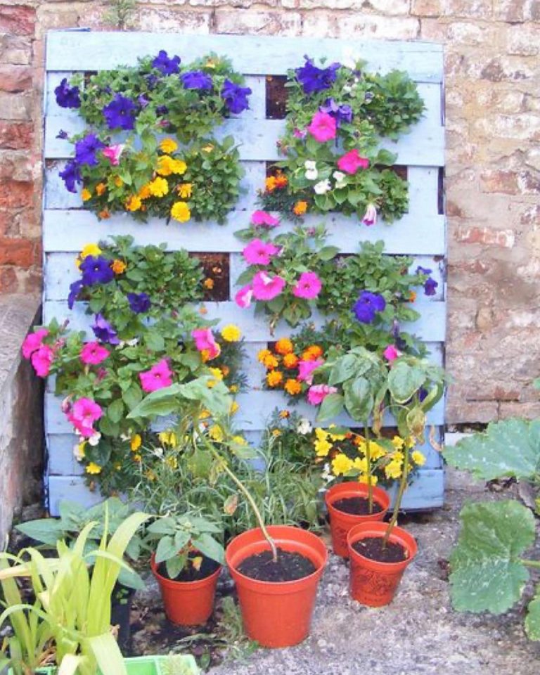 Handyman's Guide to Repurposed Pallet Garden Projects 2025