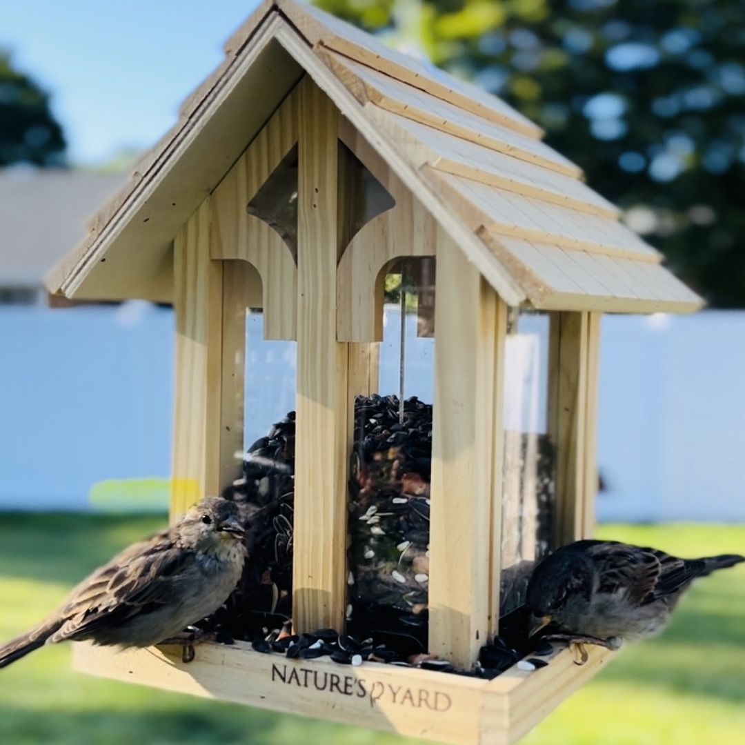 50 Bird Feeder Ideas You Can DIY: Feed the Birds, Fuel Your Creativity 2025