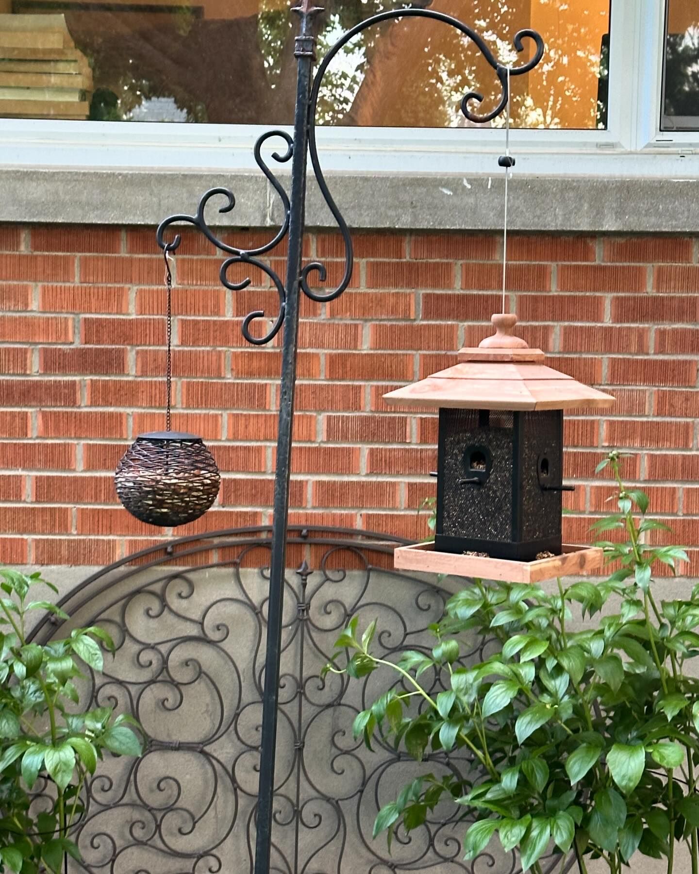 50 Bird Feeder Ideas You Can DIY: Feed the Birds, Fuel Your Creativity 2025