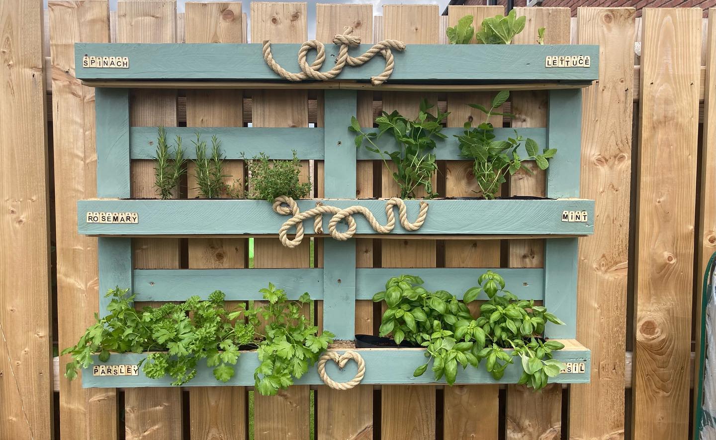 35 Easy DIY Home Upgrades Under 100 That Make A Big Impact 2025 35-easy-diy-home-upgrades-under-100-that-make-a-big-impact-2025