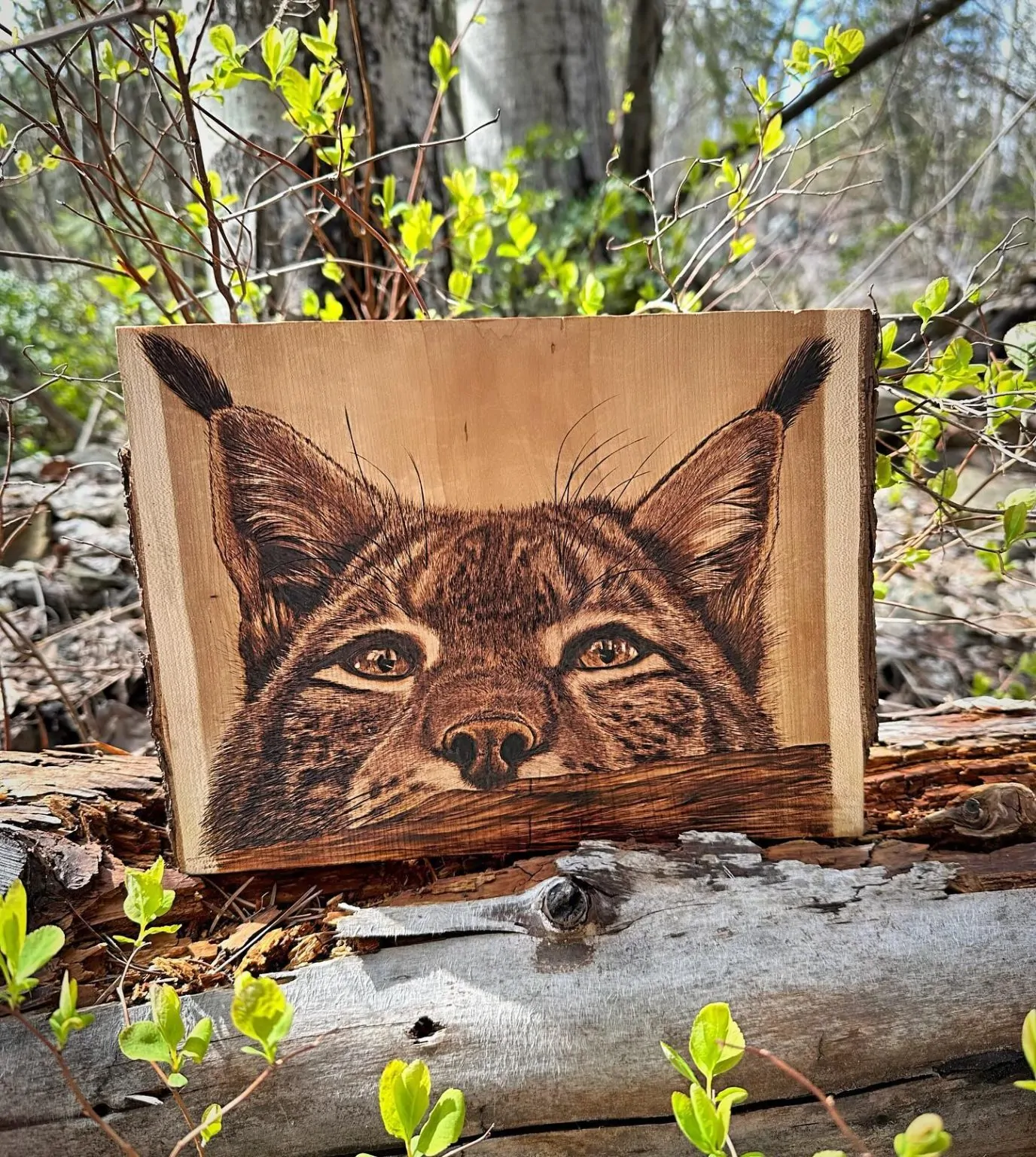 35 Stunning Wood Burning Ideas to Spark Your Creativity 2026