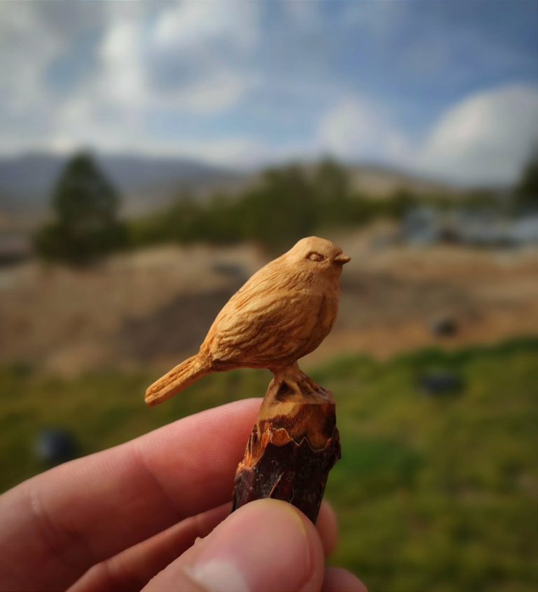 60 Easy wood carving projects for beginners 2025